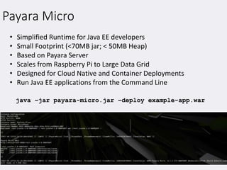 Payara Micro from Raspberry Pi to Cloud | PPTX