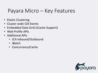 Payara Micro from Raspberry Pi to Cloud | PPTX