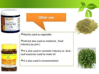 bramhi the medicinal plant | PPT