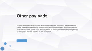 Payload | PPT