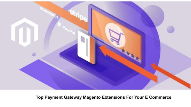 Payment extensions | PPT Payment extensions | PPT