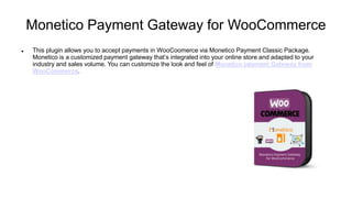 Payment extensions | PPT