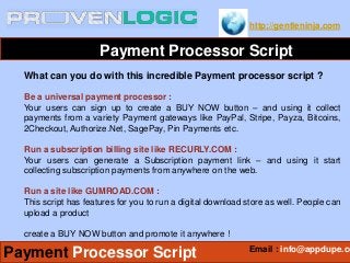 Payment Processor Script