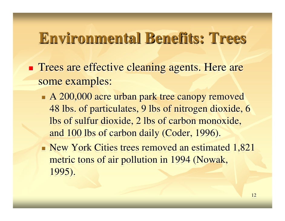 Community and Environmental Benefits of Parks and Recreation