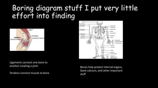 Skeletal system powerpoint | PPTX