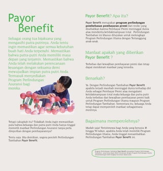 Payor benefit | PDF