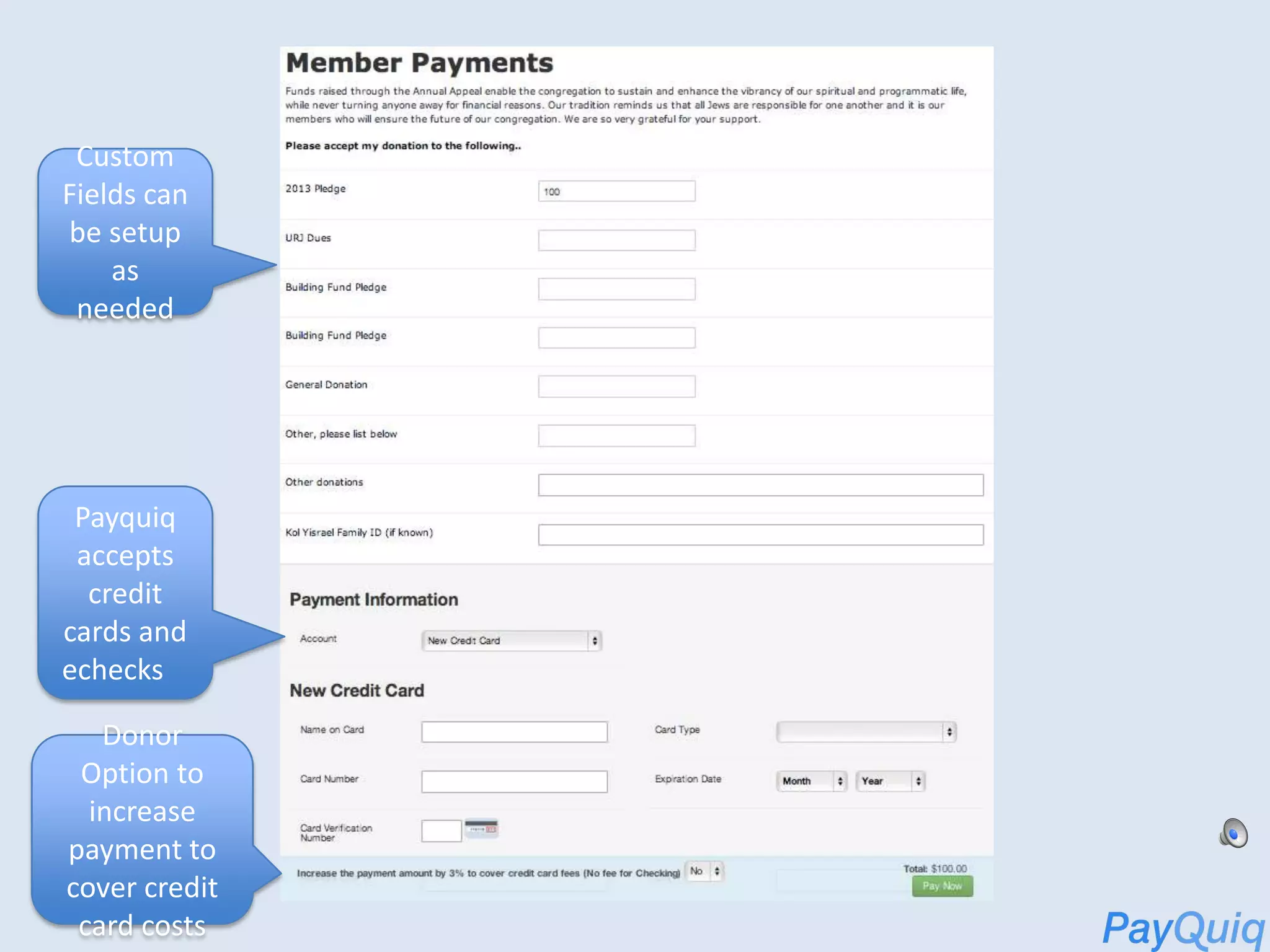 Payquiq Whole Megillah 2.0 | PPSX | Credit Cards | Personal Debt