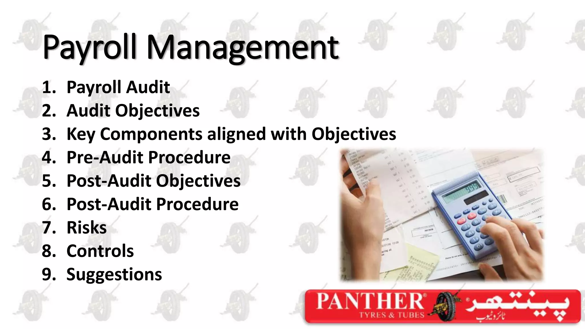Payroll Internal Audit Plan | PPTX