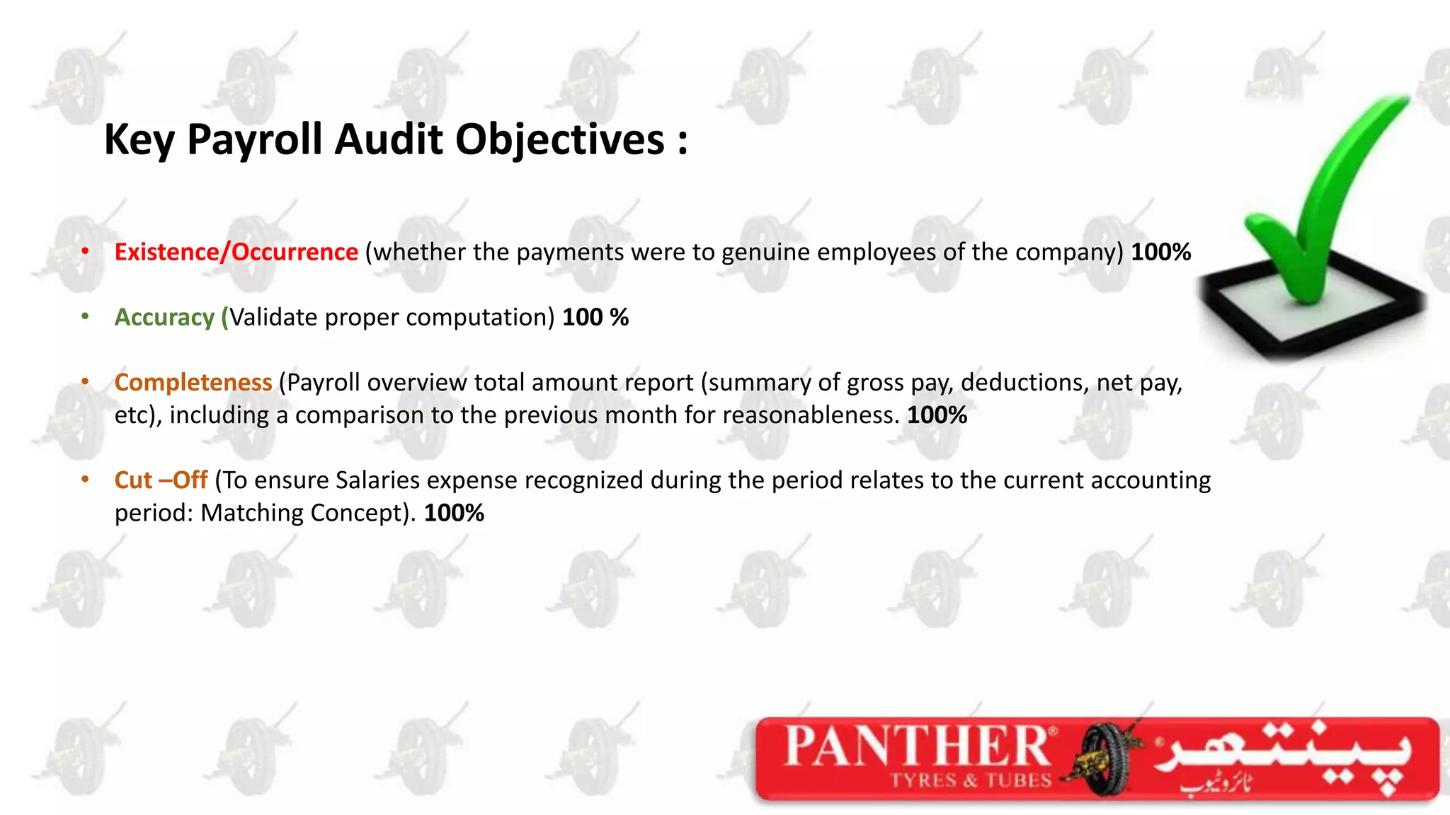 Payroll Internal Audit Plan | PPTX
