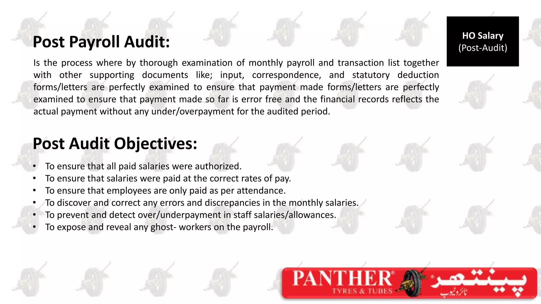 Payroll Internal Audit Plan | PPTX