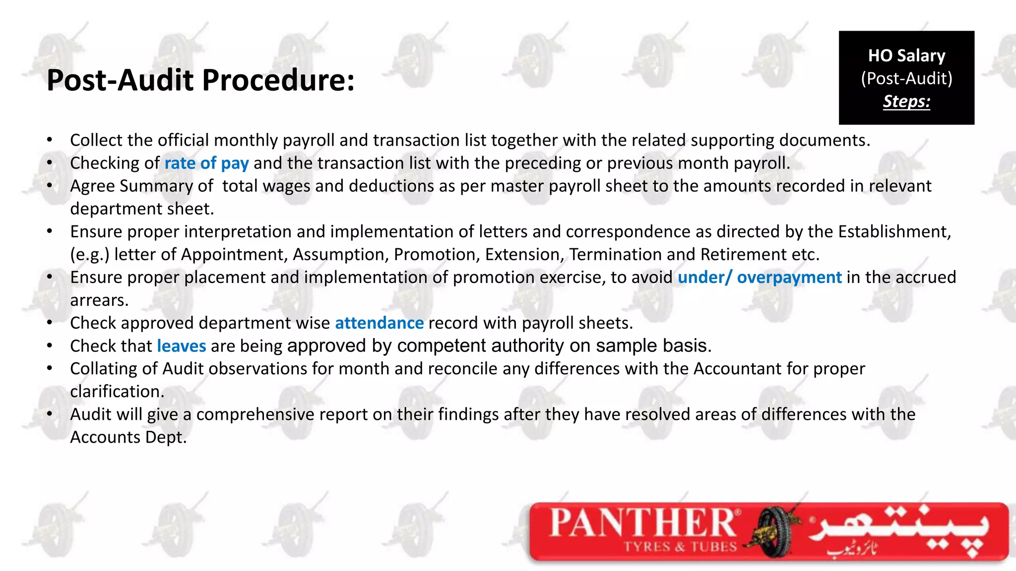 Payroll Internal Audit Plan | PPTX