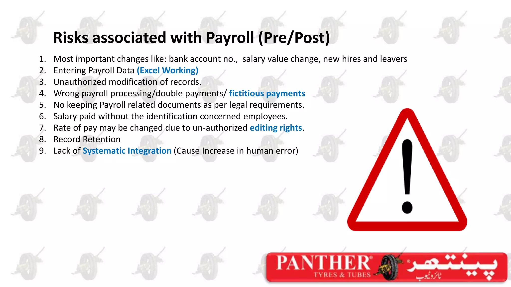 Payroll Internal Audit Plan | PPTX