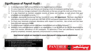Payroll Internal Audit Plan | PPTX