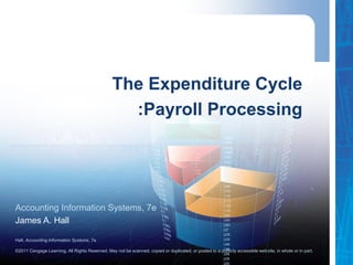 Payroll Cycle in the Expenditure Cycle of Accounting | PDF