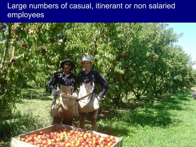 Payroll Fraud by Andrew Firth, Forensic Accountant | PDF