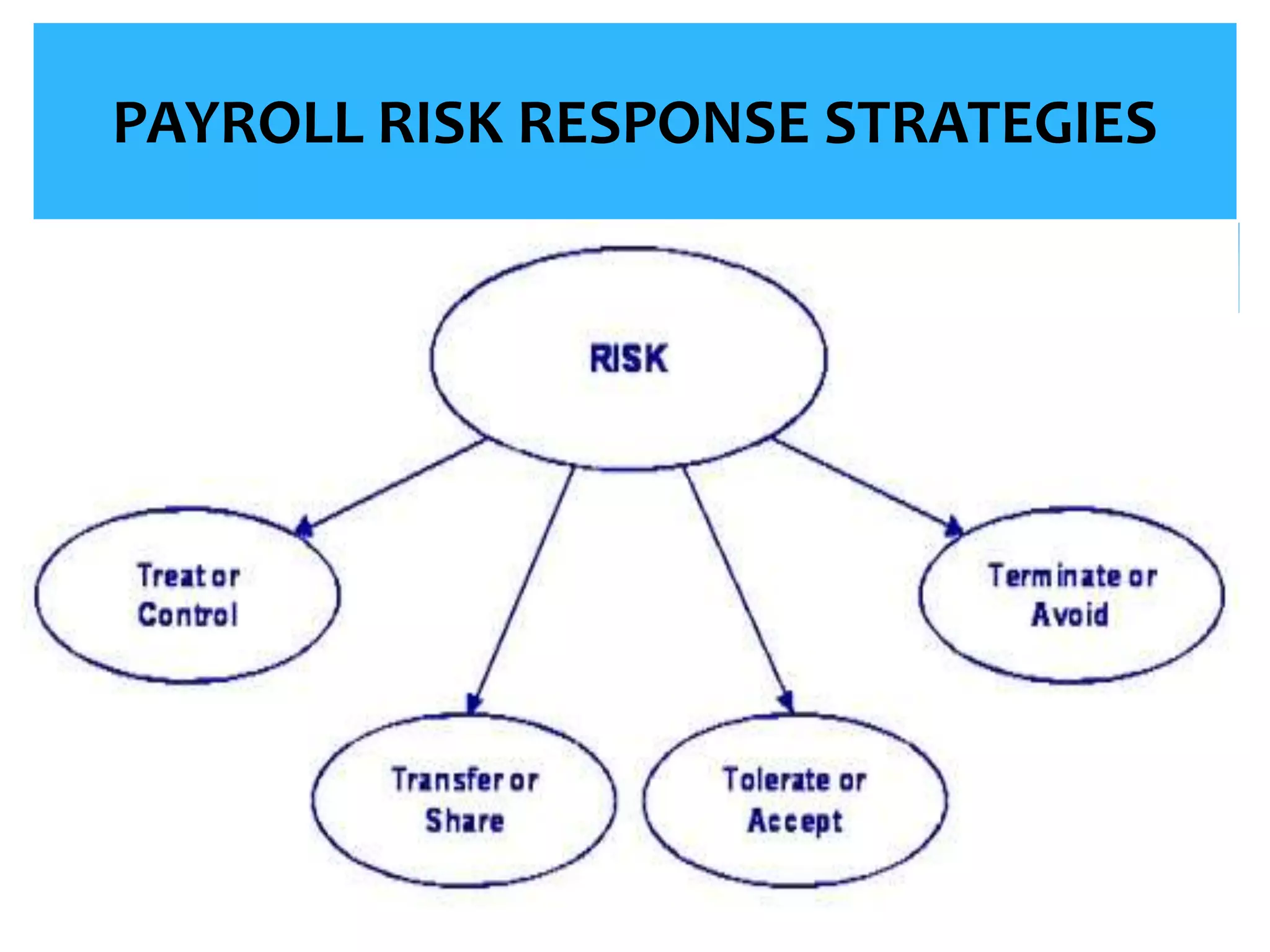 Payroll Control, Risk Management & Fraud Prevention | PPTX