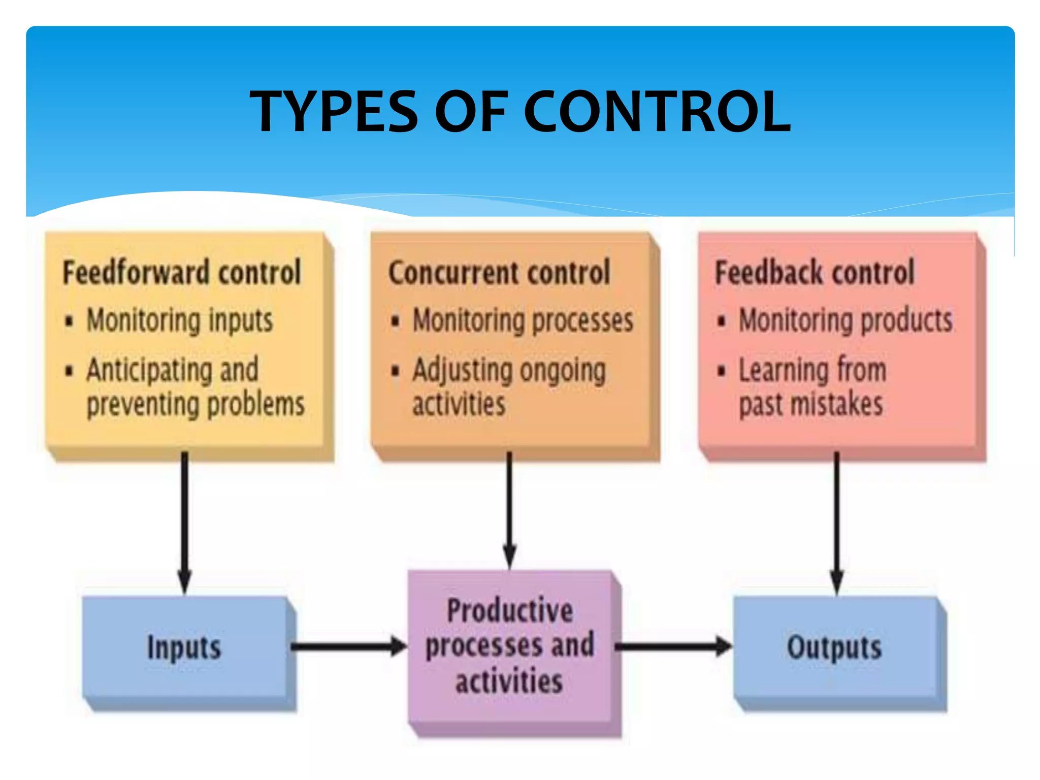Payroll Control, Risk Management & Fraud Prevention | PPTX