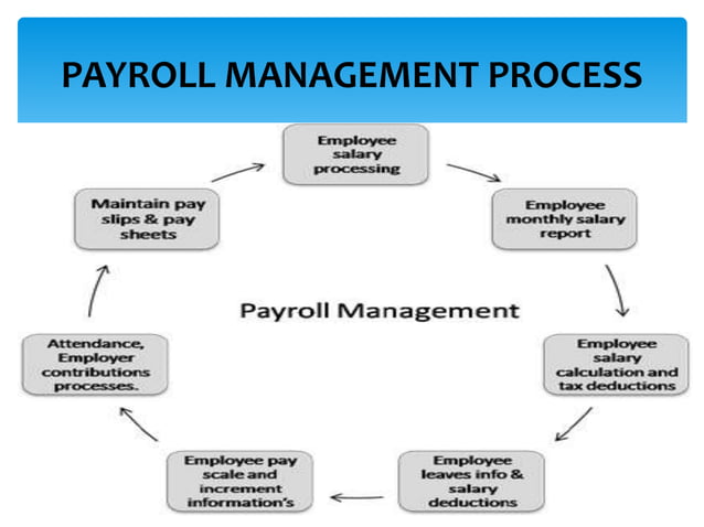 Payroll Control, Risk Management & Fraud Prevention | PPTX