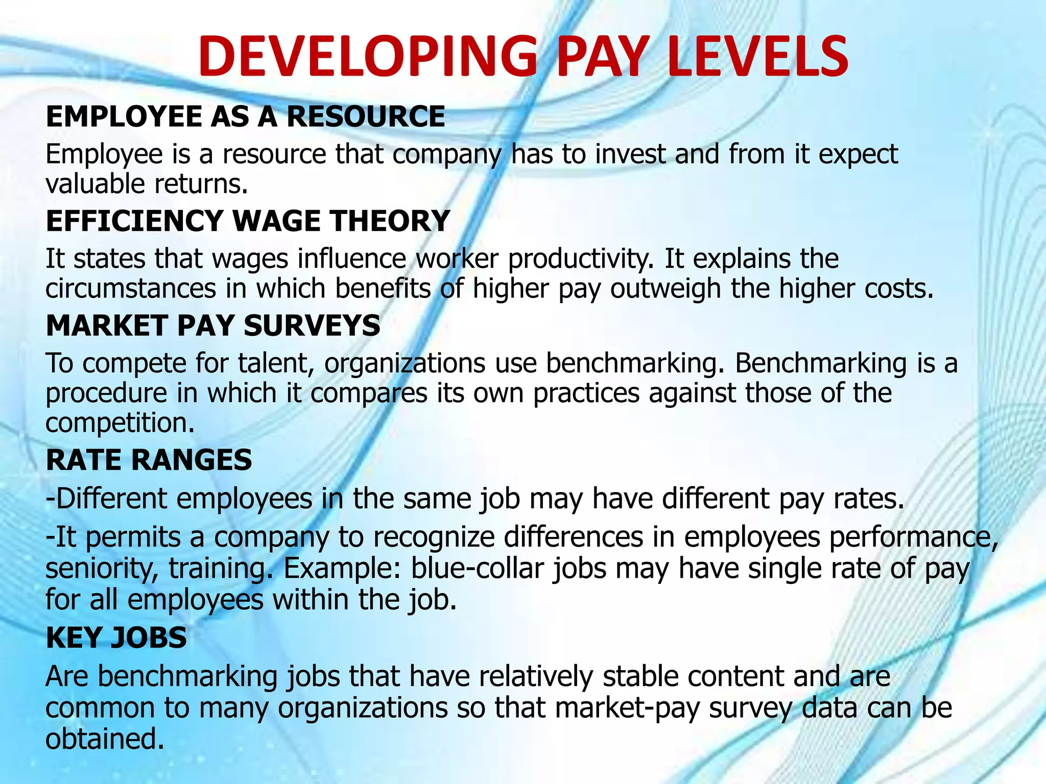Pay Structure Decisions Presentation PPT pay-structure-decisions-presentation-ppt