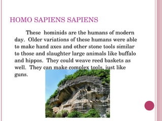 Payton_EarlyHumanTools | PPT