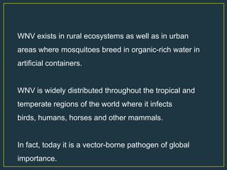 Environmental Drivers of West Nile Virus Endemaization in Europe | PPTX