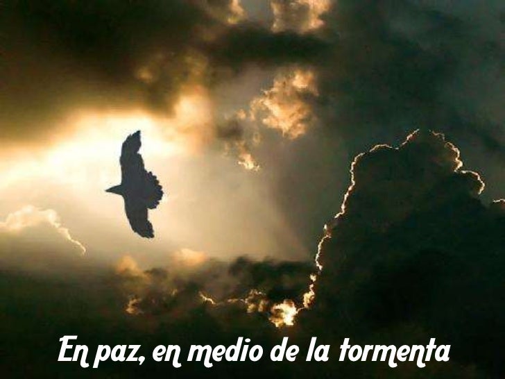 Paz en la tormenta