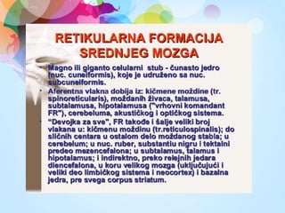 Paznja - psihički procesi | PPTX