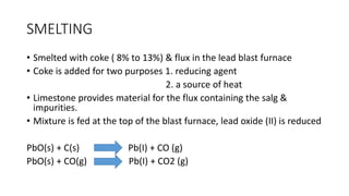 Lead Extraction | PPTX
