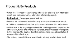 Lead Extraction | PPTX