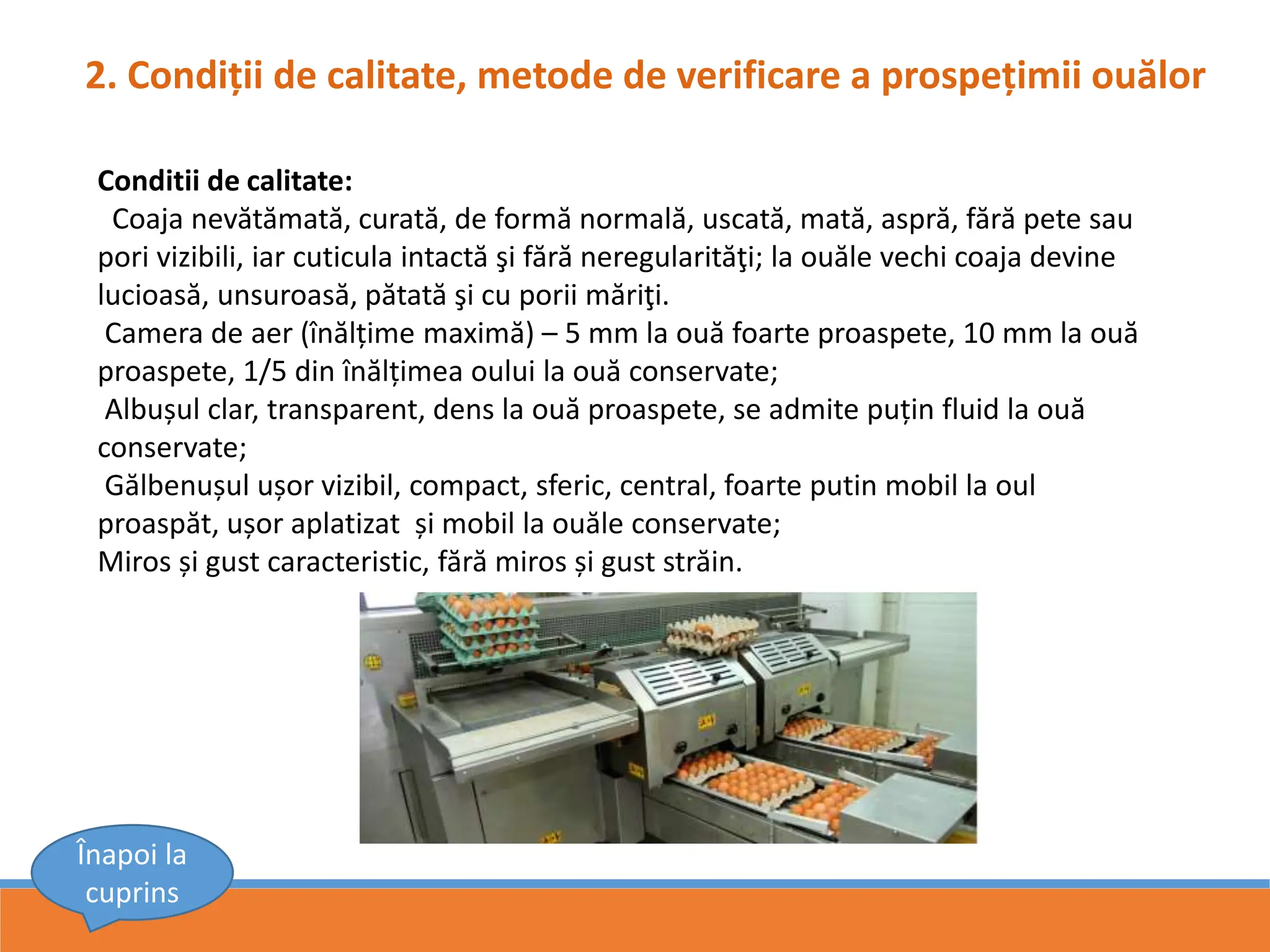 Mat prime animale-Oua.pptx . | PPTX