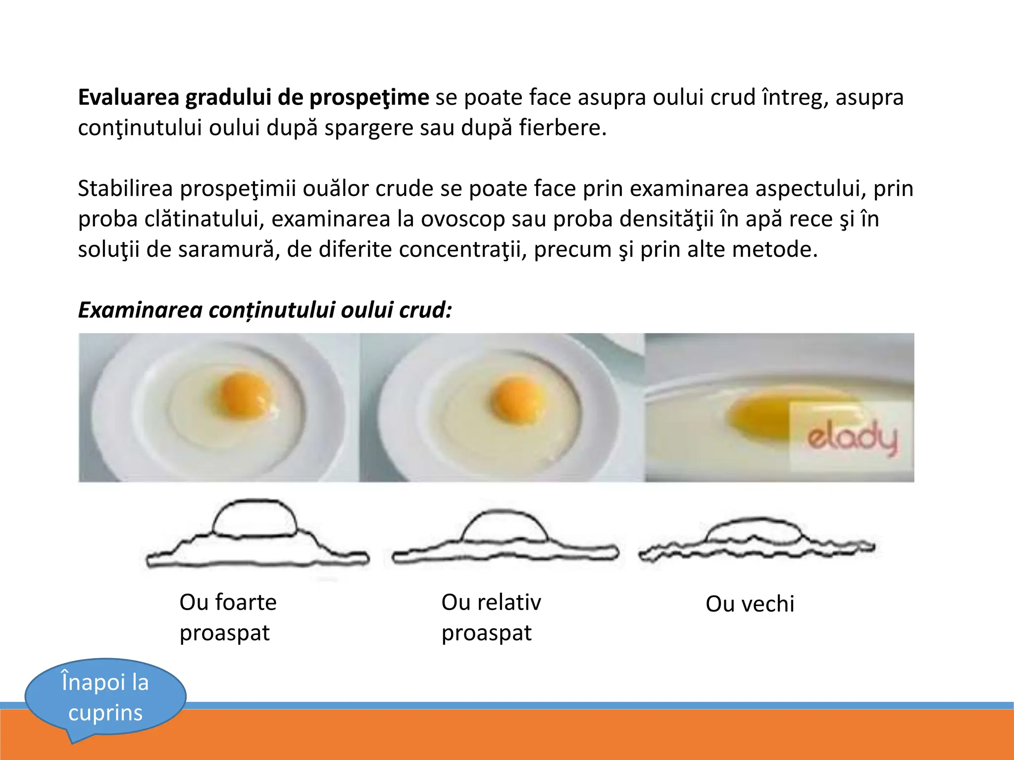Mat prime animale-Oua.pptx . | PPTX
