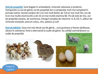 Mat prime animale-Oua.pptx . | PPTX