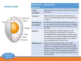 Mat prime animale-Oua.pptx . | PPTX