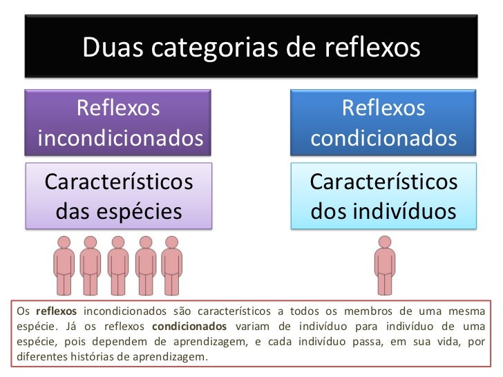 Reflexos Inatos - conceitos básicos