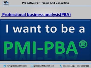 PMI_Pba introduction | PPTX