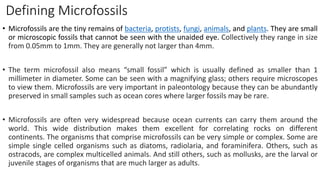 PBB418-323 PALEOBOTANY 2021.pptx