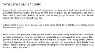 PBB418-323 PALEOBOTANY 2021.pptx
