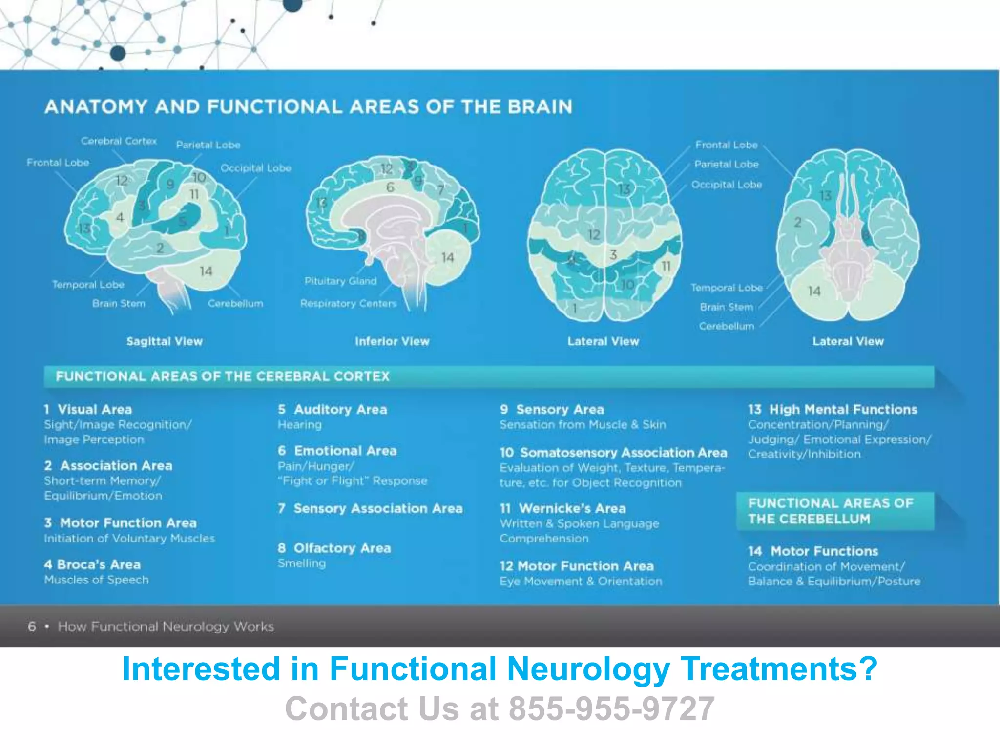What Is Functional Neurology? | PPT