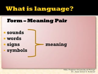 Basic Notions of Language | PDF