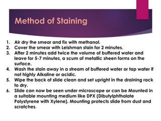 Peripheral Blood Film Preparation, Examination And Interpretation | PPTX