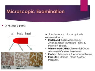 Peripheral Blood Film Preparation, Examination And Interpretation | PPTX