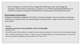 morphological and physiological characters changes - Drought Resistence ...