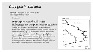 morphological and physiological characters changes - Drought Resistence ...