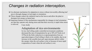 morphological and physiological characters changes - Drought Resistence ...