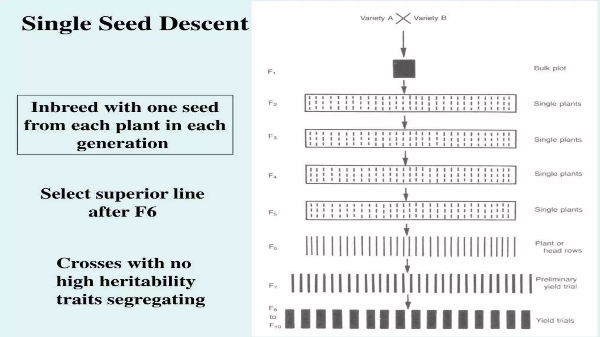 HANDLING OF SEGREGATING GENERATIONS | PPTX