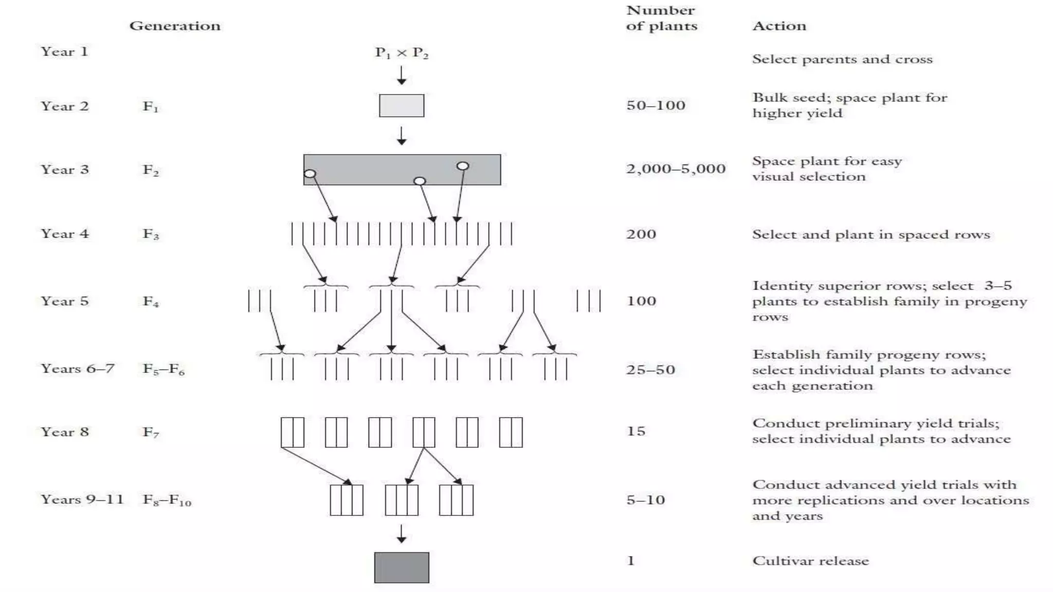 HANDLING OF SEGREGATING GENERATIONS | PPTX