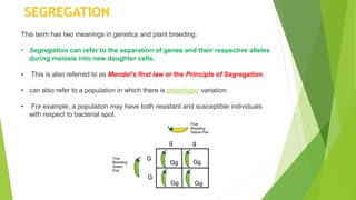 HANDLING OF SEGREGATING GENERATIONS | PPTX