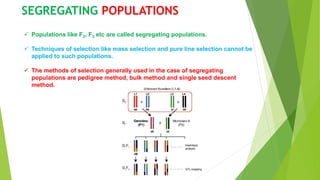 HANDLING OF SEGREGATING GENERATIONS | PPTX