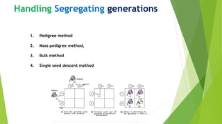 HANDLING OF SEGREGATING GENERATIONS | PPTX